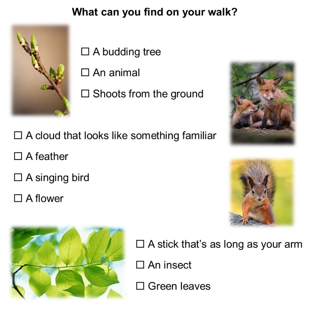 Spring walk | The Froebel Partnership