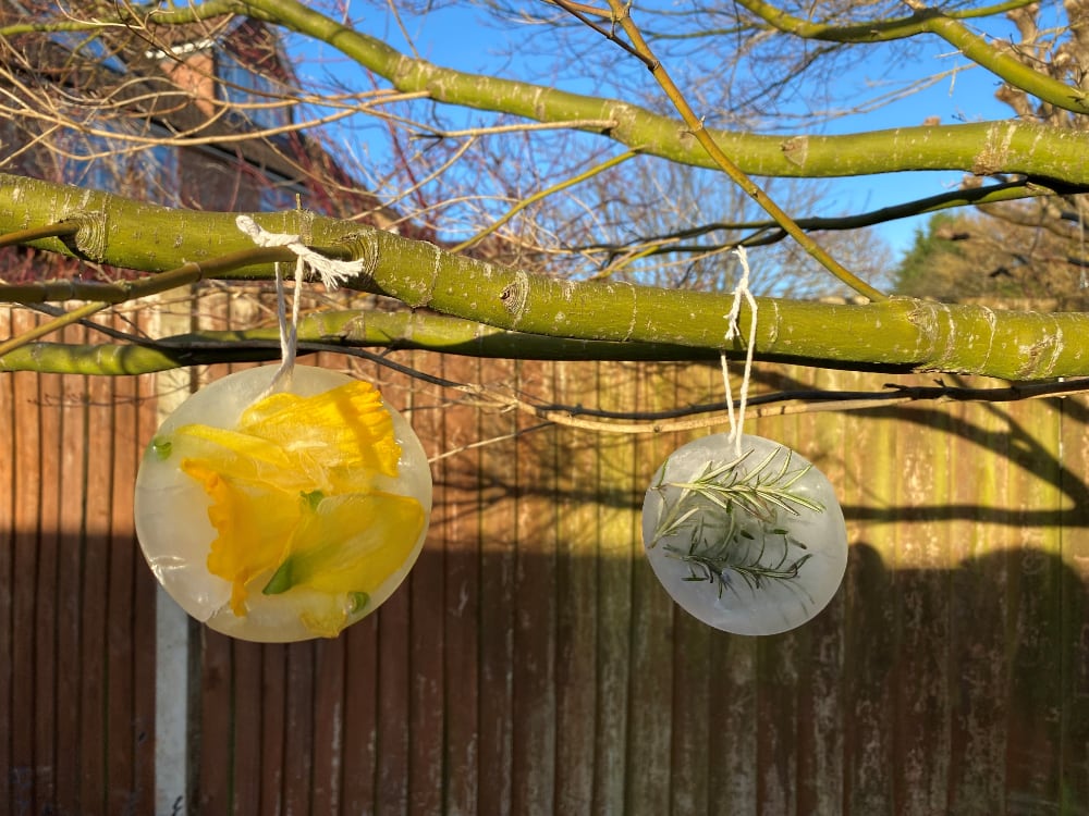 Make an ice decoration | The Froebel Partnership