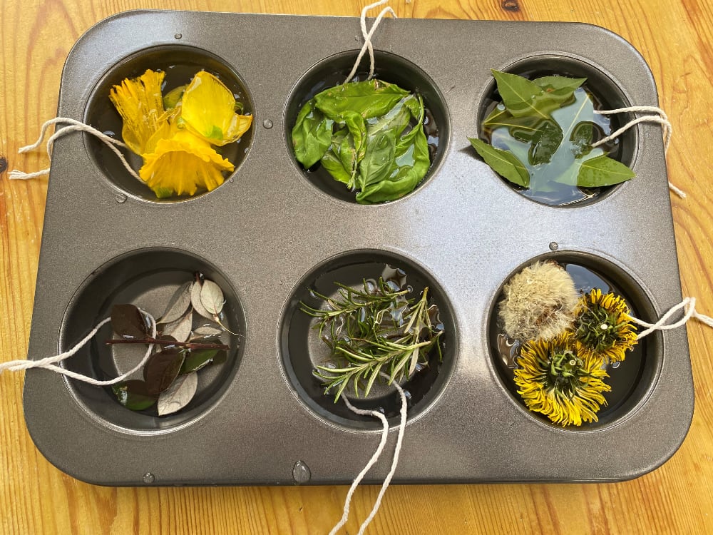 Make an ice decoration | The Froebel Partnership