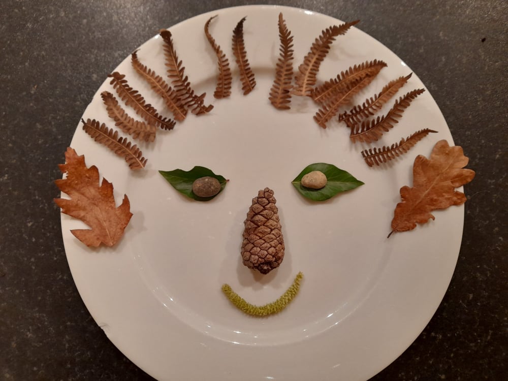 Natural collage | The Froebel Partnership