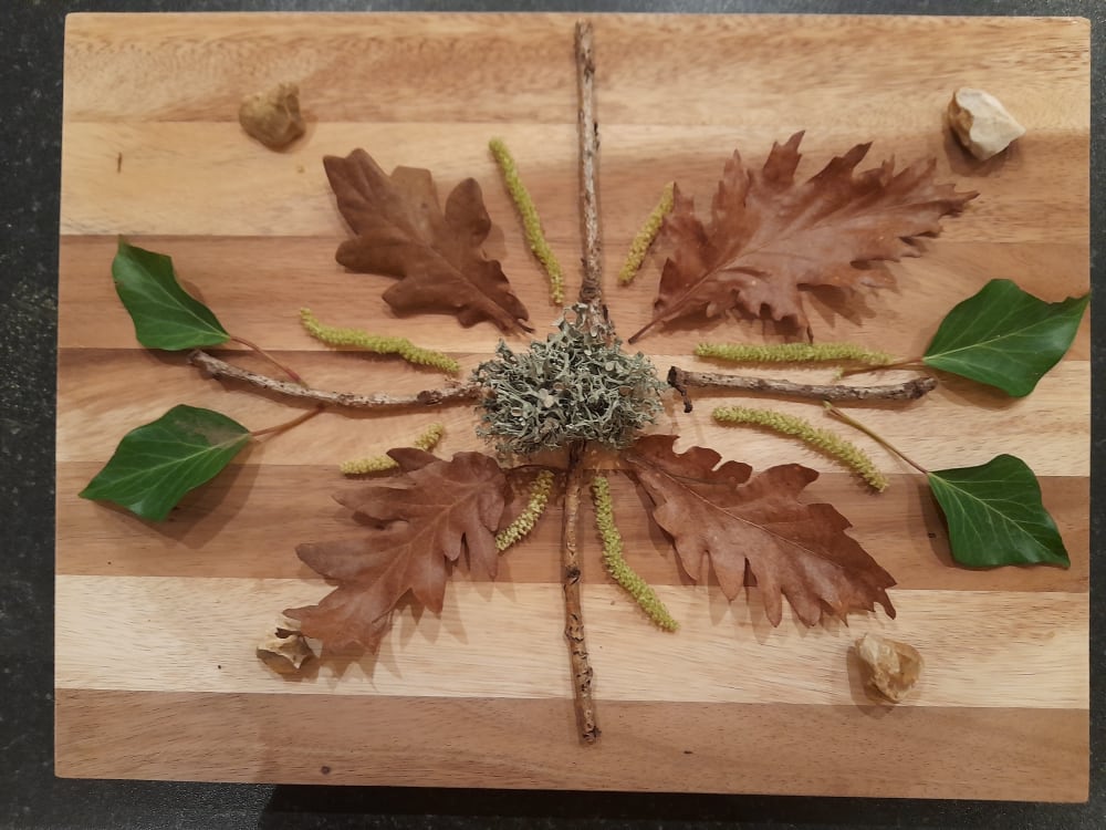 Natural collage | The Froebel Partnership