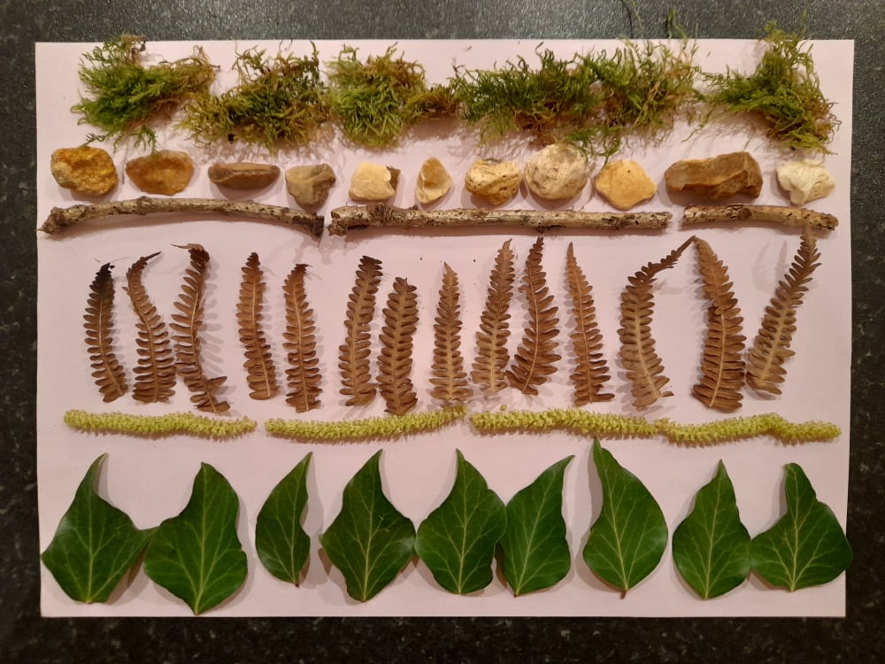 Natural collage | The Froebel Partnership
