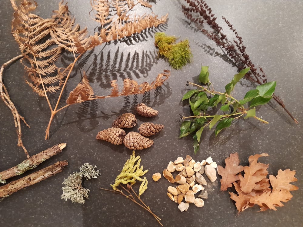 Natural collage | The Froebel Partnership